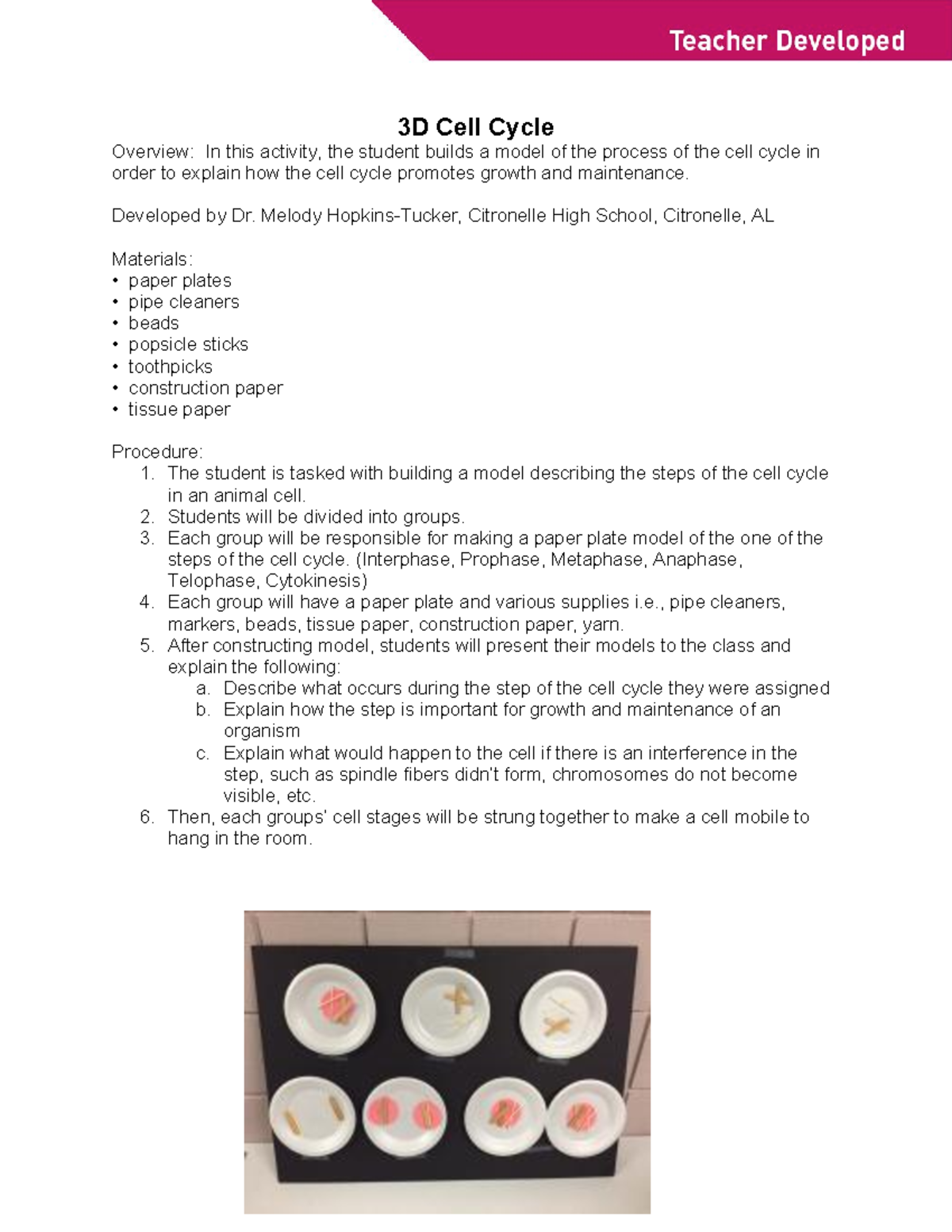 3D-Cell-Cycle - 3D cell cycle activity - 3D Cell Cycle Overview: In ...