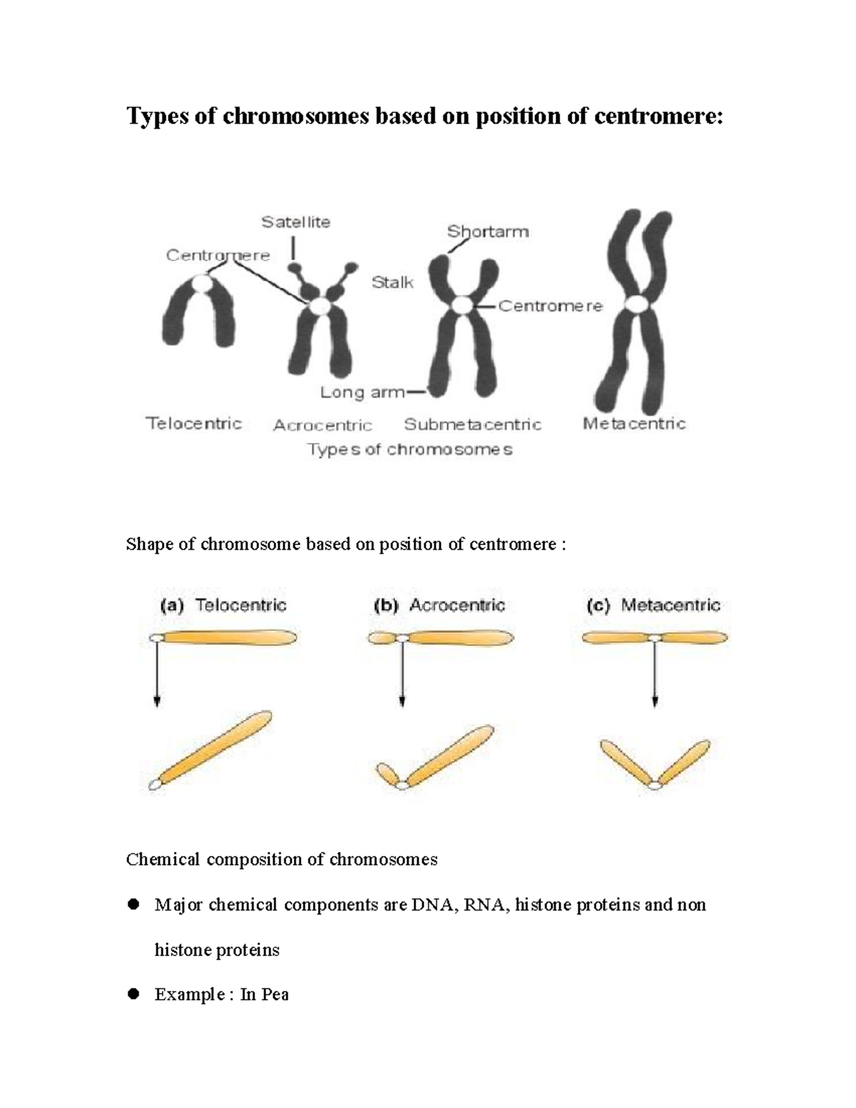 Types of chromosomes based on position of centrome - They found in the ...