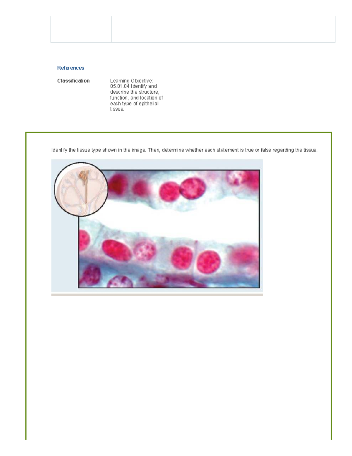 Epithelial Tissue Types: Identification & Classification Assignment 05. ...