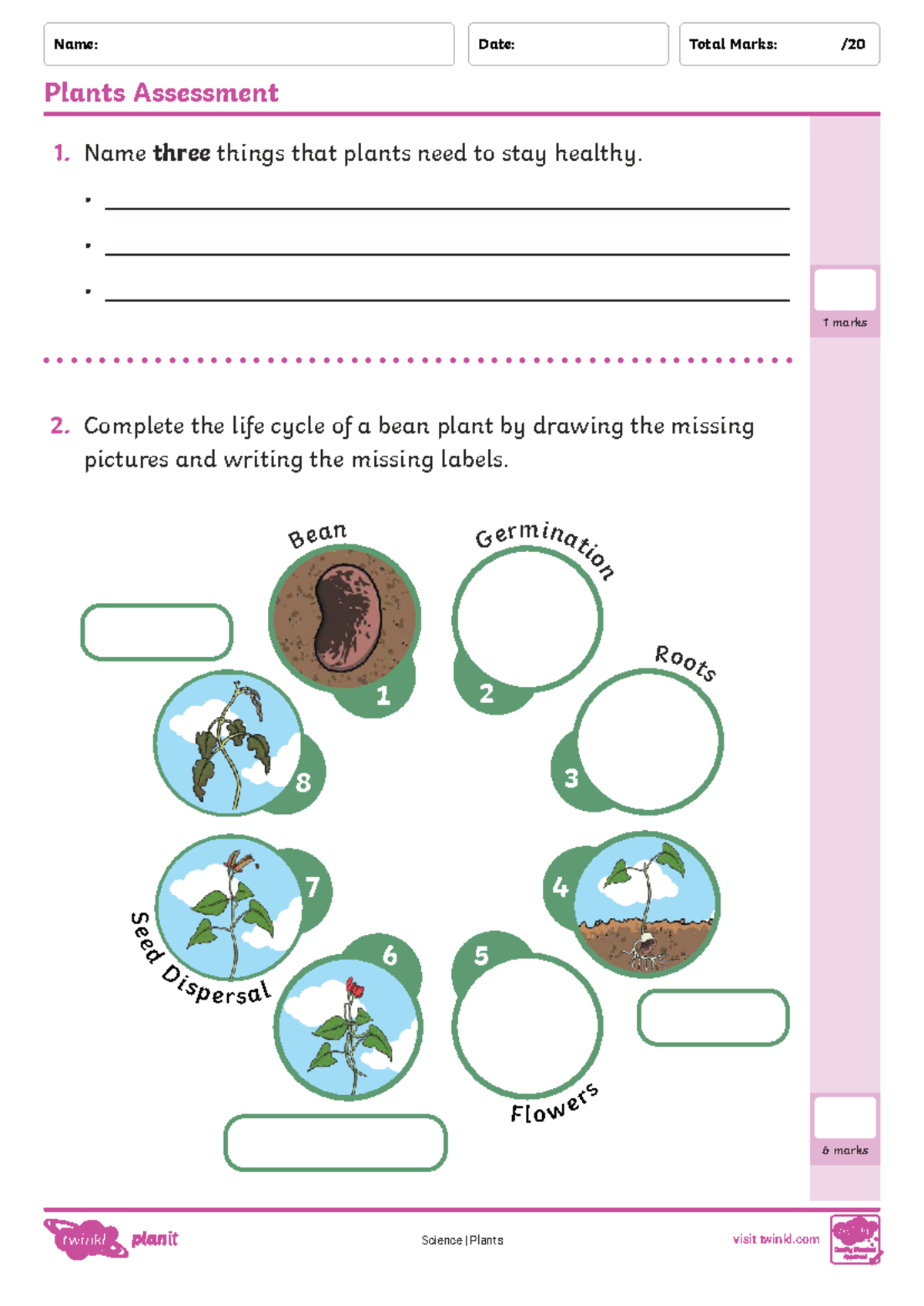 Plants Assessment Test 2: Key Concepts and Life Cycle of Plants - Studocu
