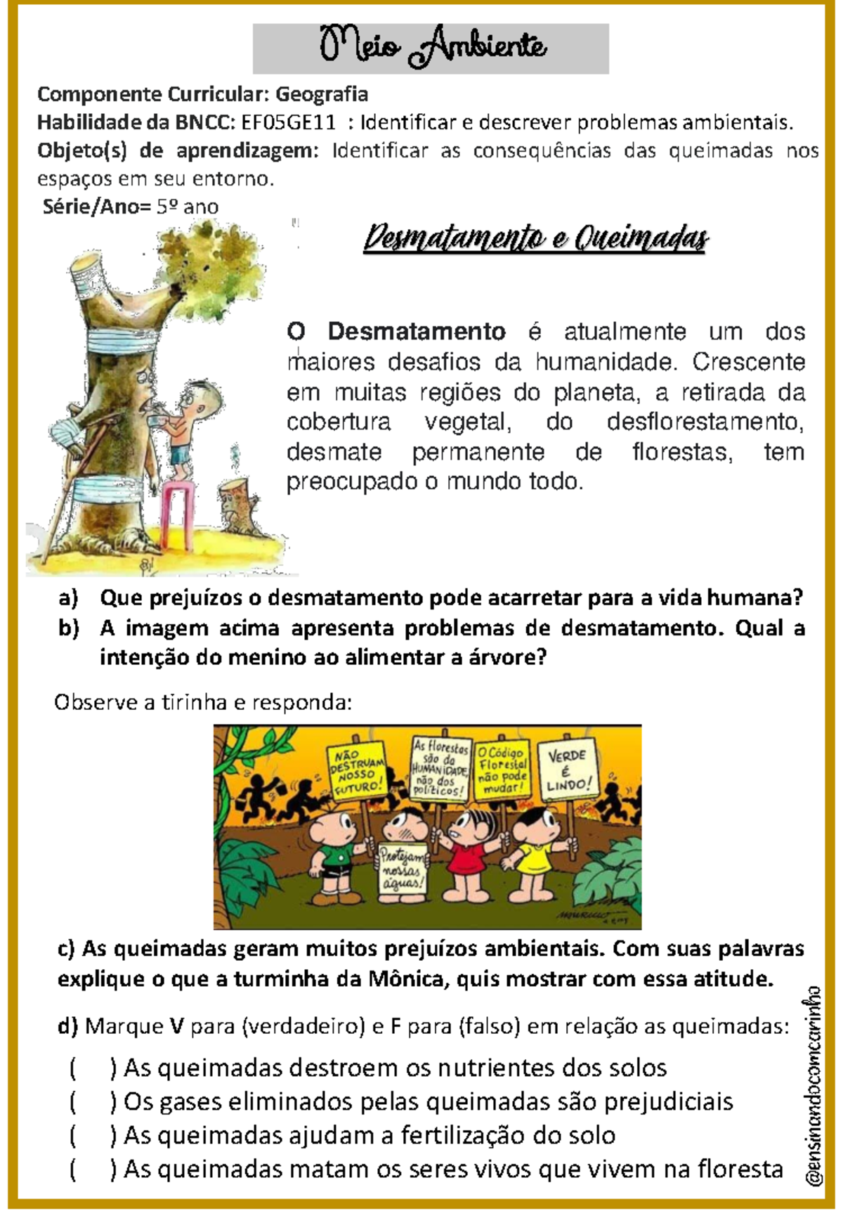 Atividade: Desmatamento e Queimadas - 5º Ano (Geografia) - Studocu