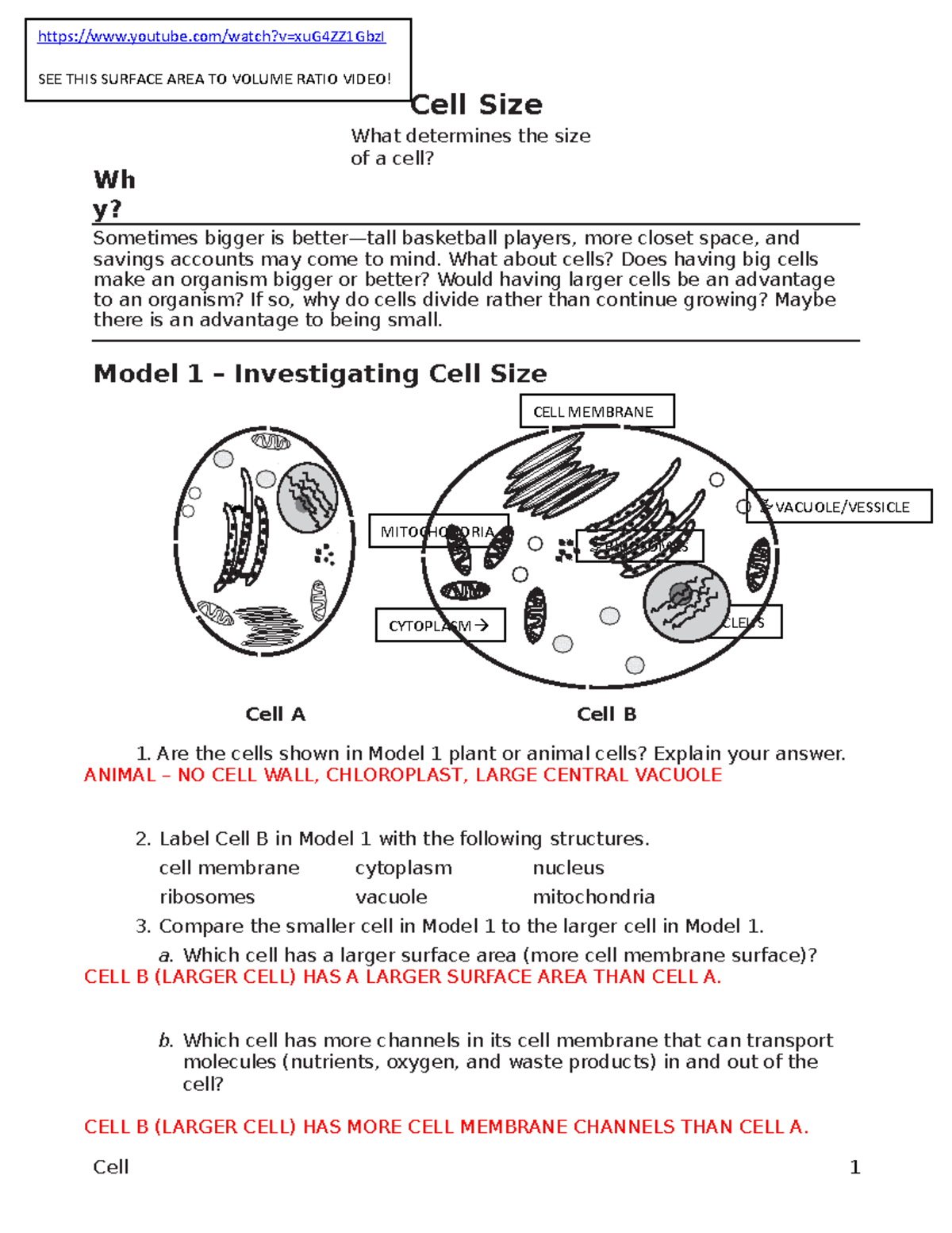 Pogil Cell Size Study Guide - Examining Dynamics of Cell Growth - Studocu