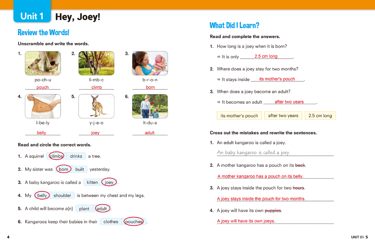Bricks Reading 120 Nonfiction L2 WB Unit Answer Key - Studocu