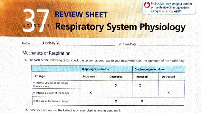 Lab 37 Review Sheet: Respiratory System Physiology Insights - Studocu