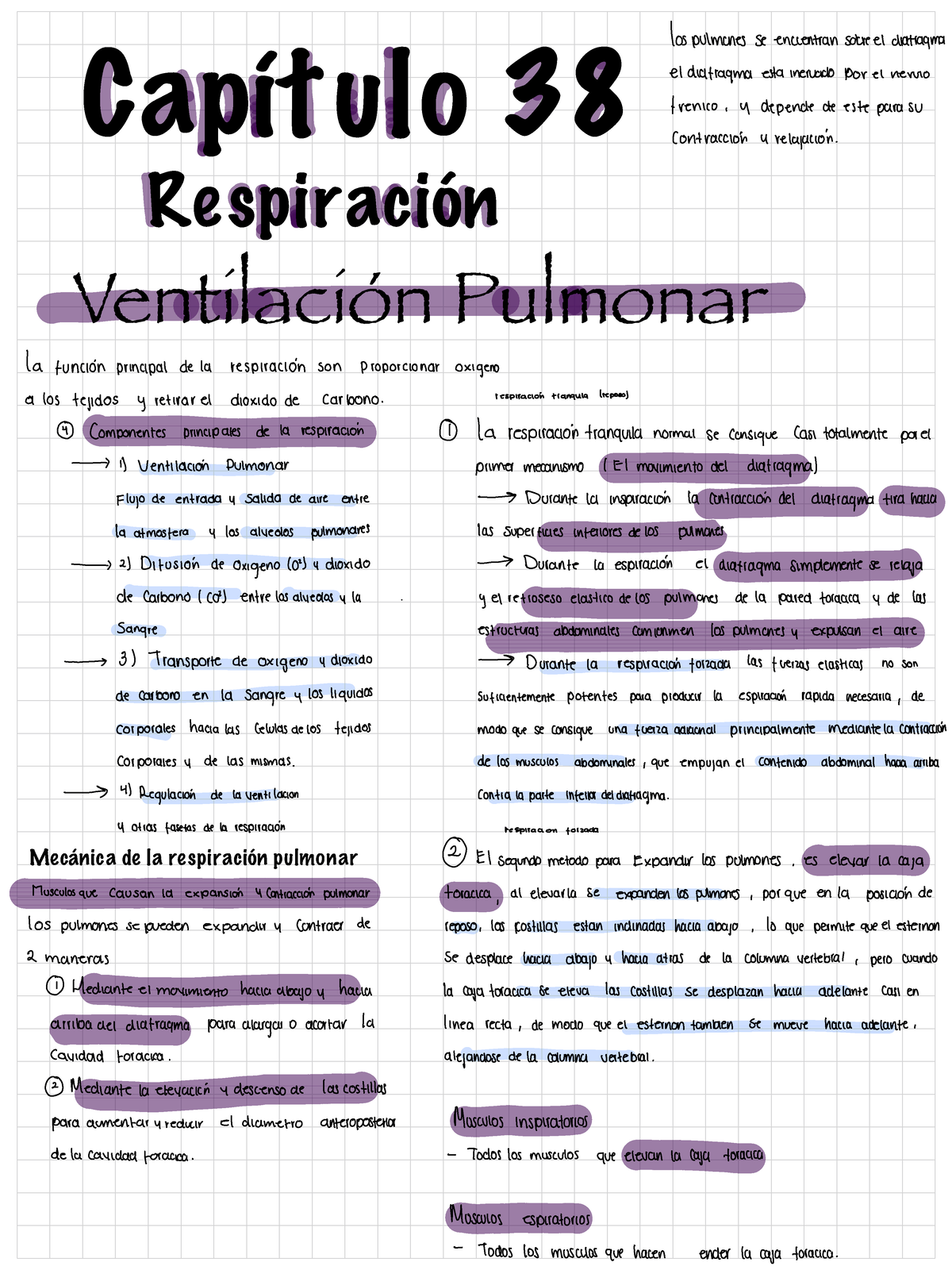 Fisio II segundo parcial respiratorio - Fisiologia - Capítulo 38 Respiración Ventilación ...
