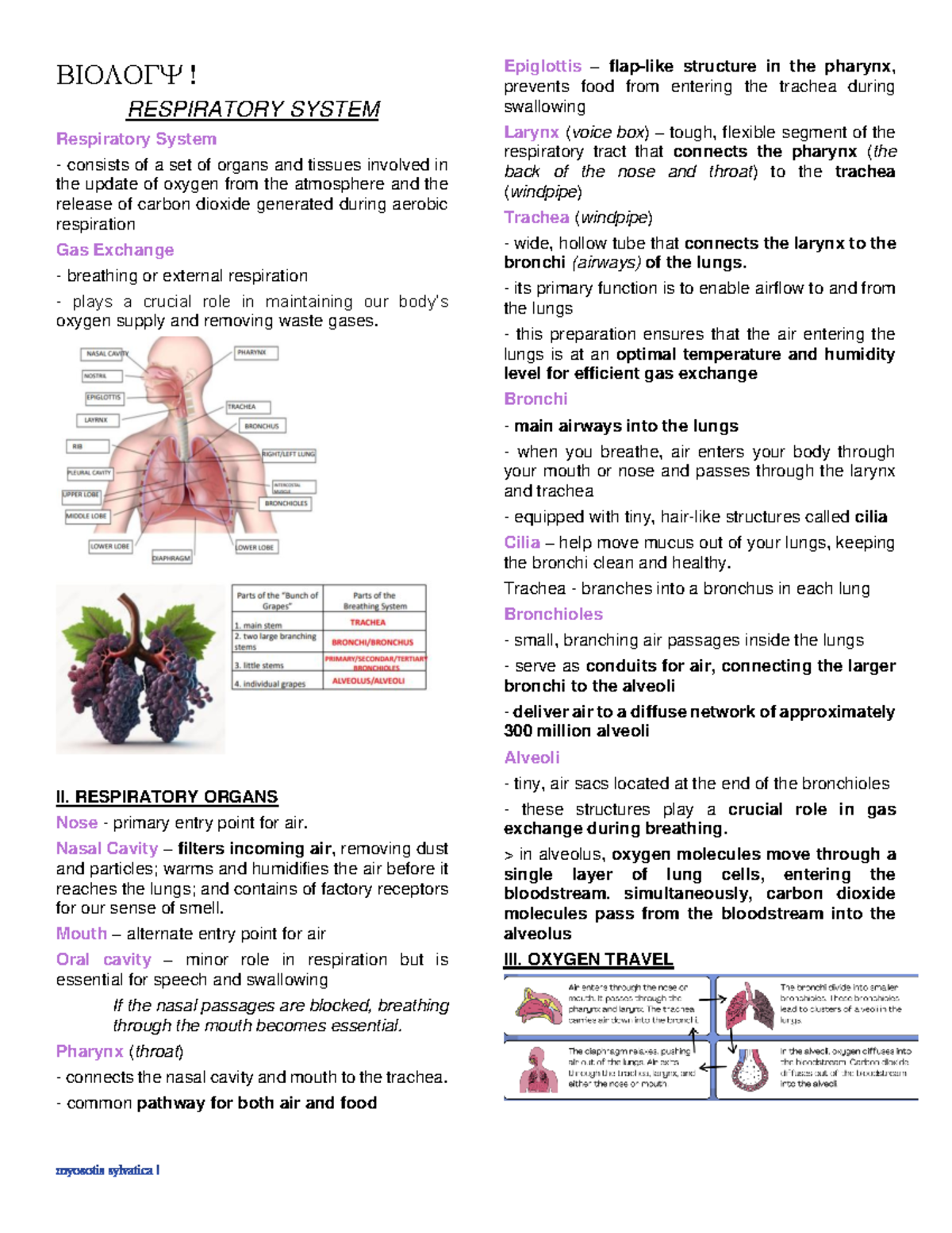 Biology Lecture Notes: Respiratory & Circulatory Systems Overview - Studocu