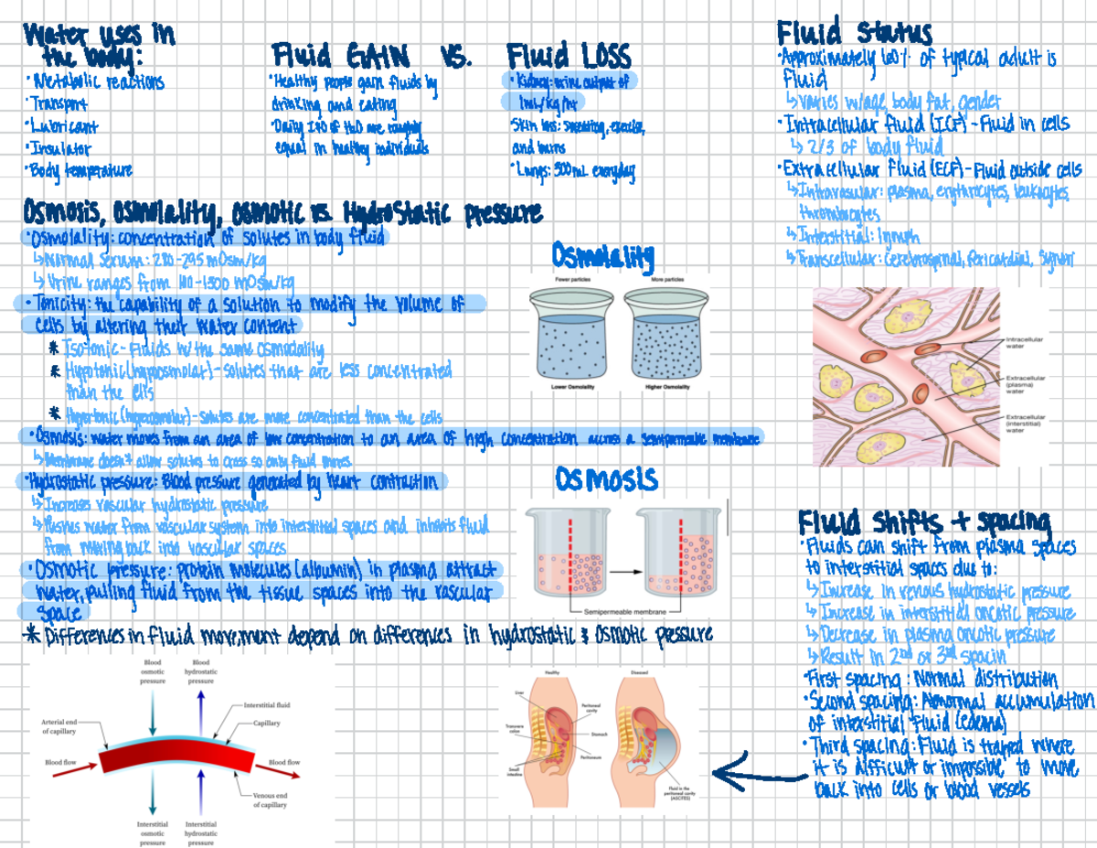 Fluid Imbalance in the Body: Metabolic Reactions and Regulation (NUR ...