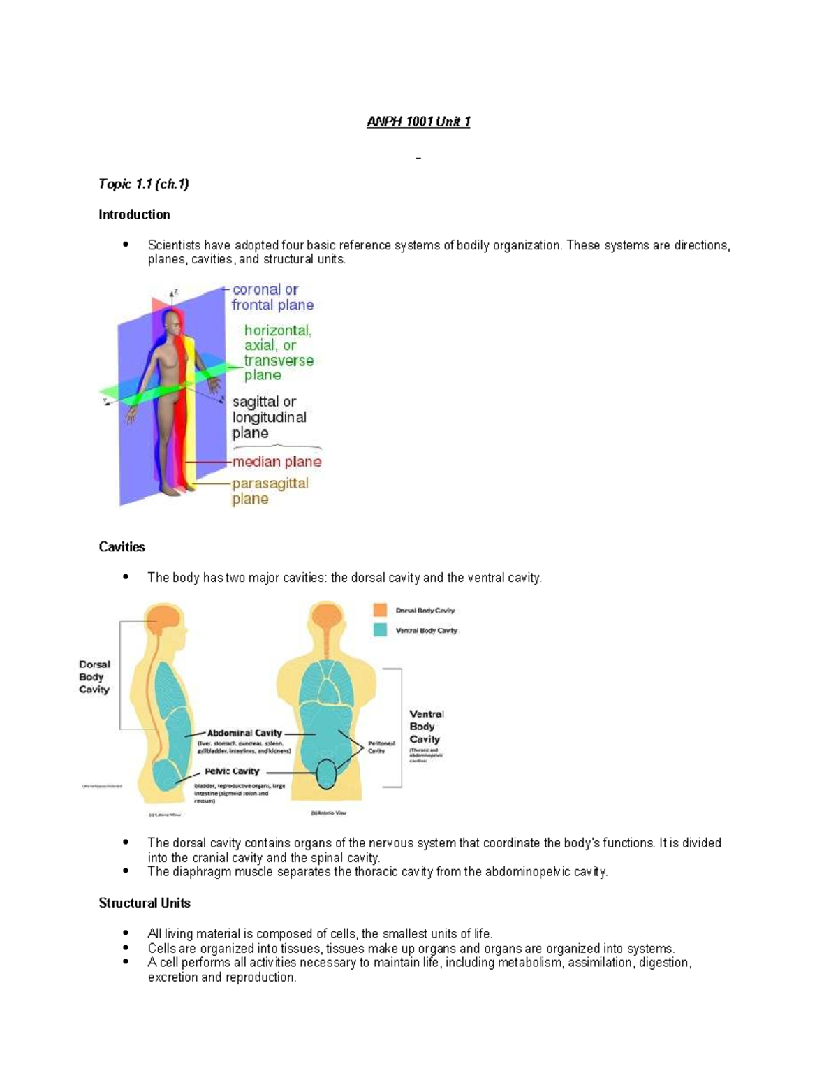 ANPH 1001 Unit 1 & 2 Overview: Bodily Organization & Key Concepts - Studocu