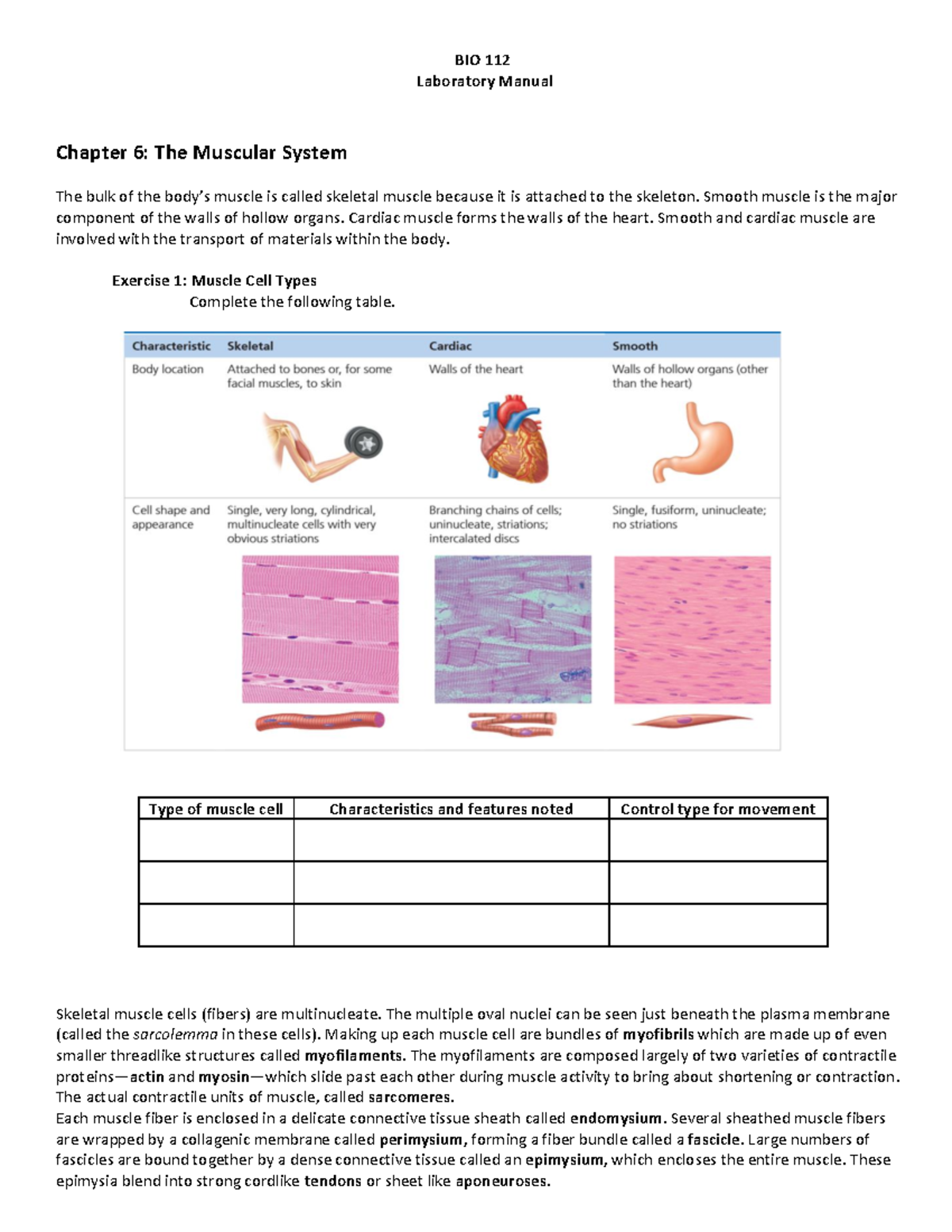 BIO 112 Lab Manual: Muscle Anatomy & Actions Exercises - Studocu