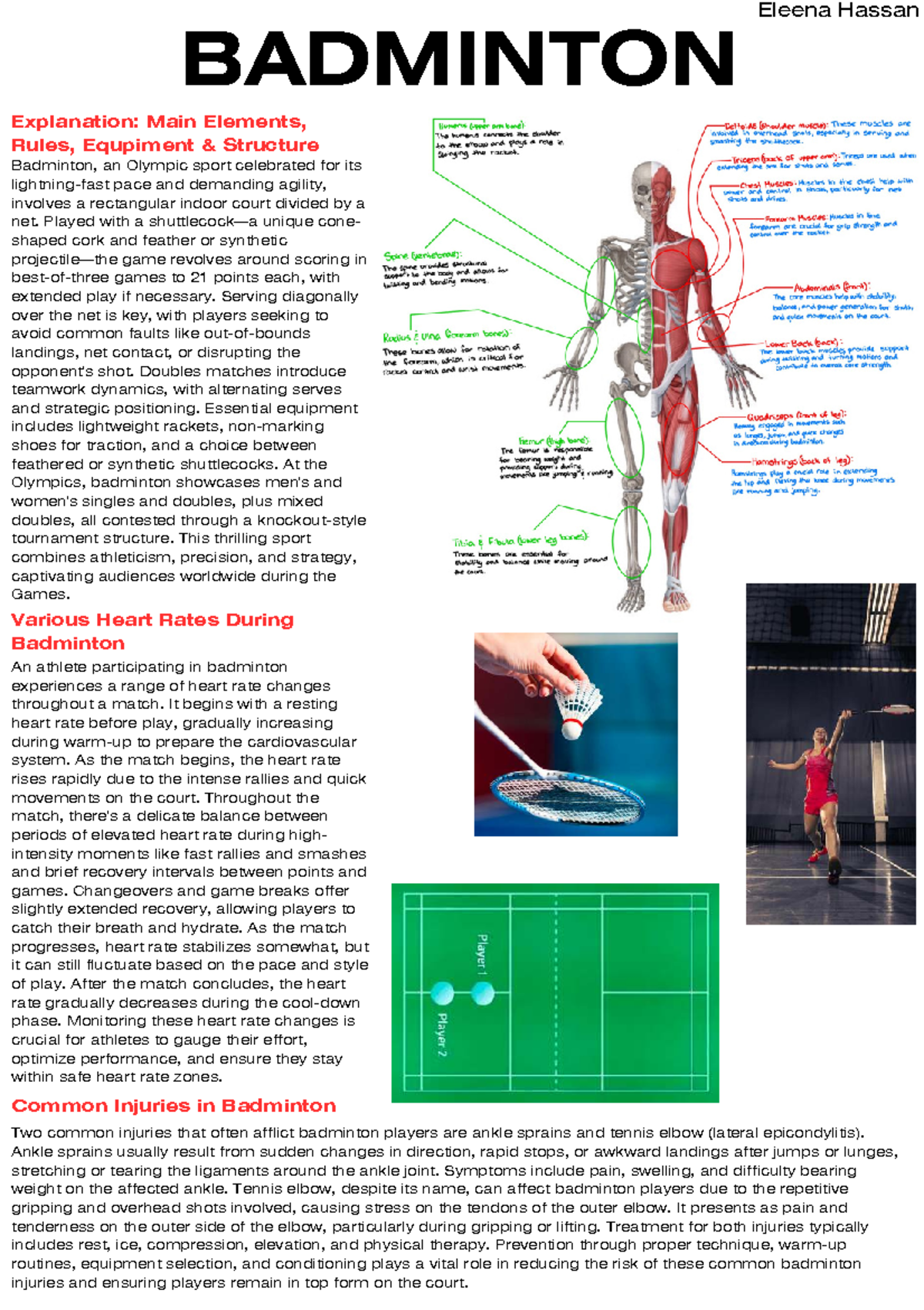 BADMINTON: Key Elements, Rules, Equipment & Common Injuries - Studocu