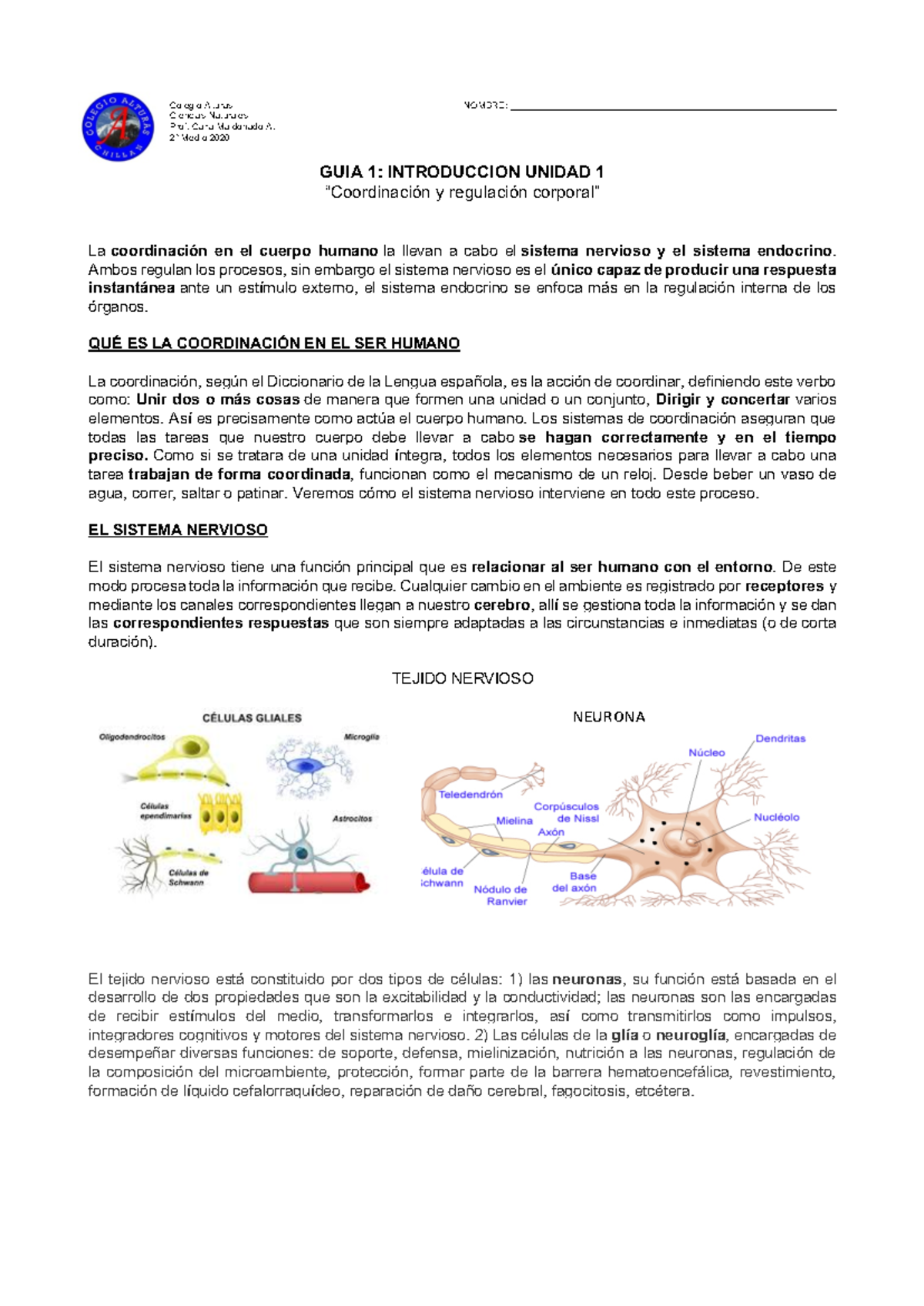 2ºM.-G.-Intr - Kdkd - Colegio Alturas NOMBRE: - Studocu