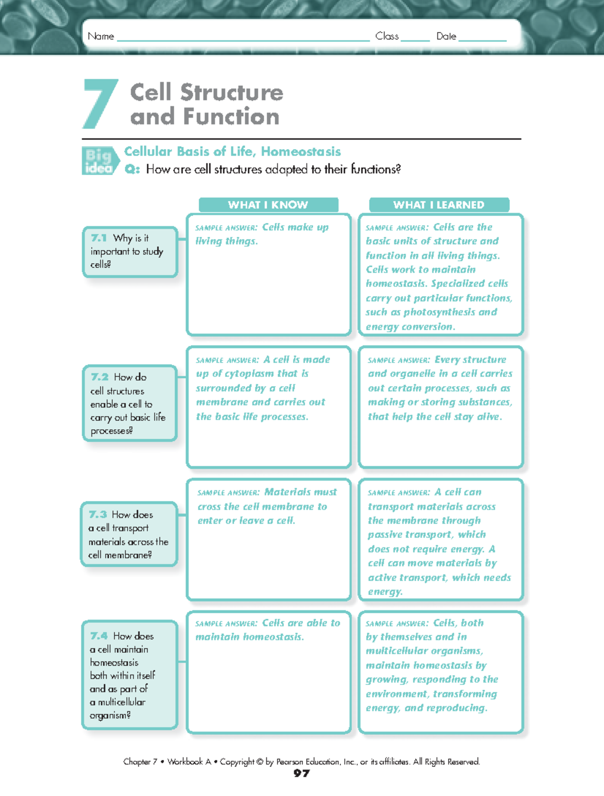 Cell Structure and Function Workbook Answer Key 7.1 & 7.2 - Studocu