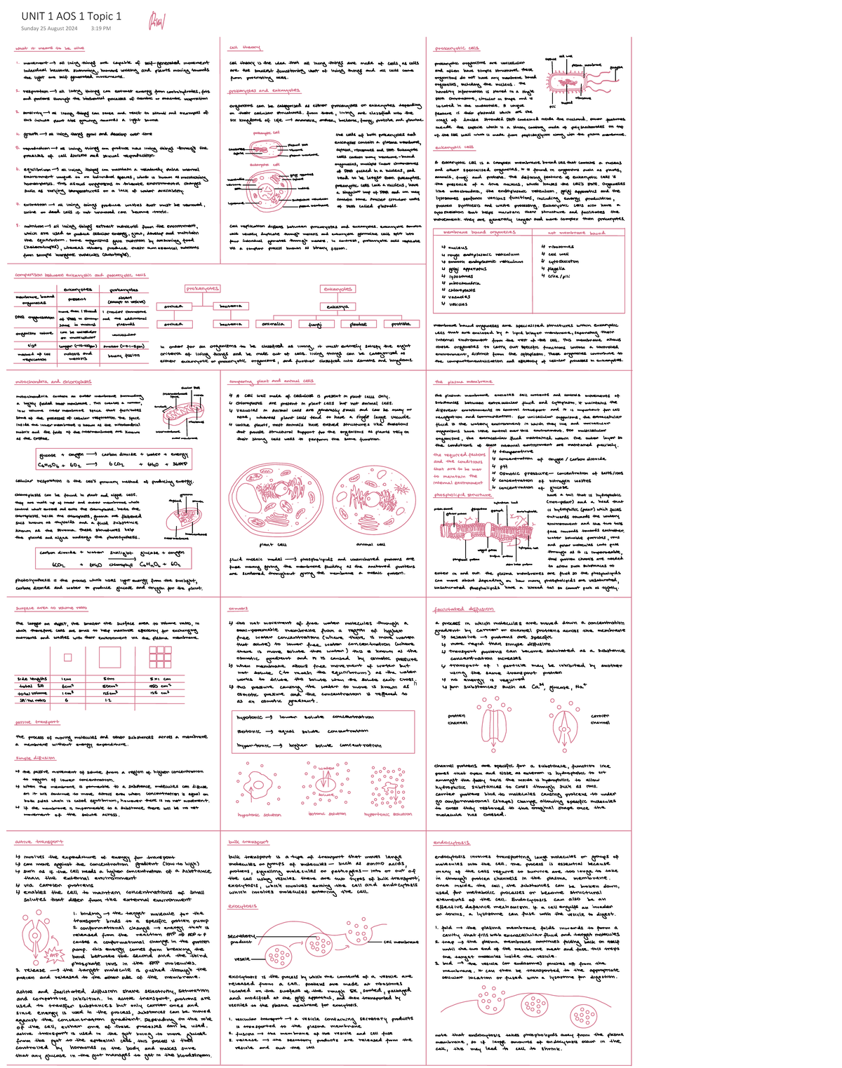Biology VCE UNIT 1 AOS 1 Topic 1 - h UNIT 1 AOS 1 Topic 1 Sunday 25 ...