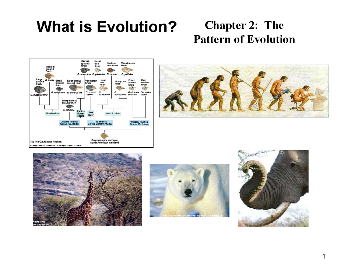 Lecture 1: Introduction to Evolution and Microevolution Concepts - Studocu