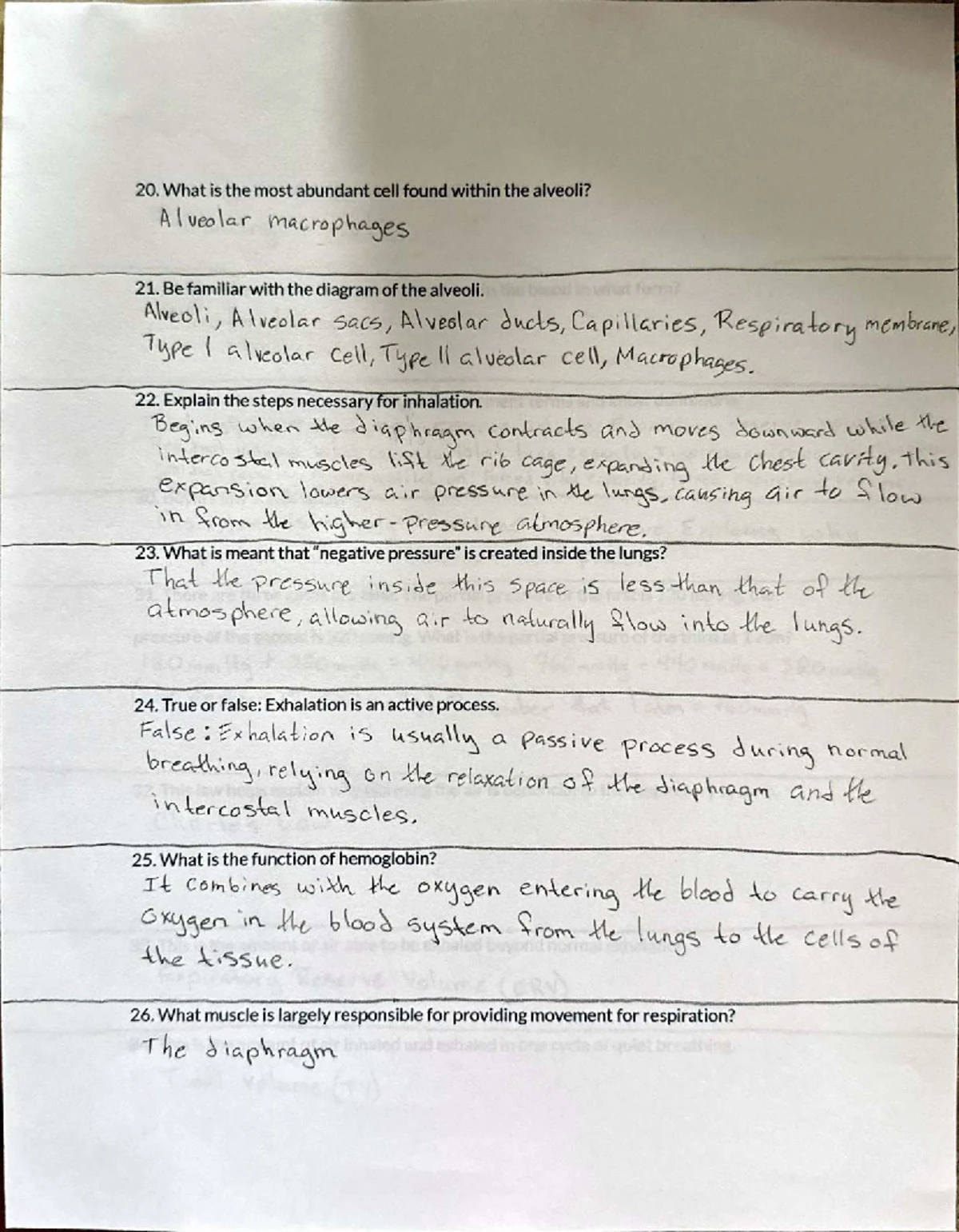 Module 2: Respiratory System Overview and Key Concepts - Studocu
