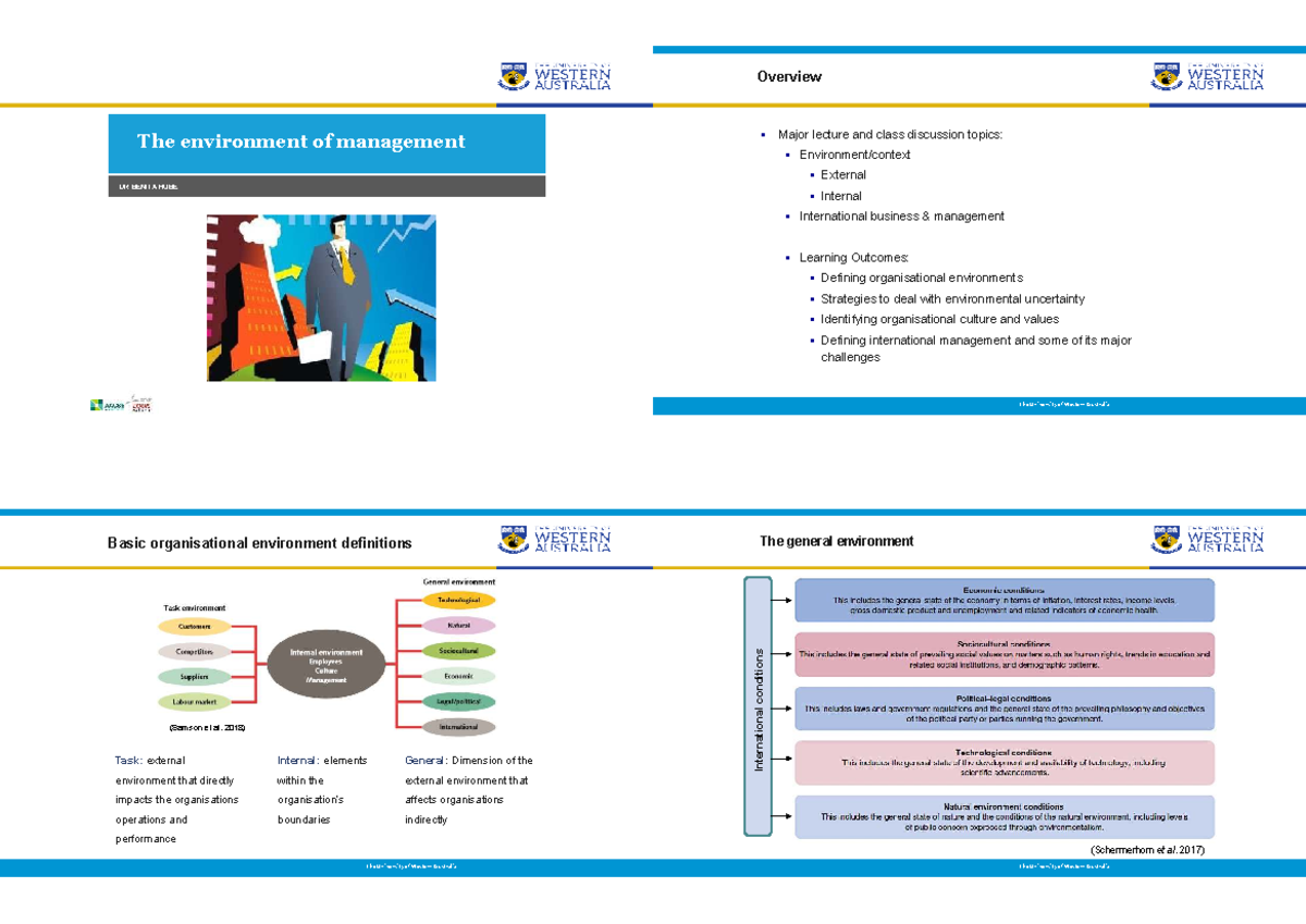Lecture on Management Environment - DR BENITA HUBE - Studocu
