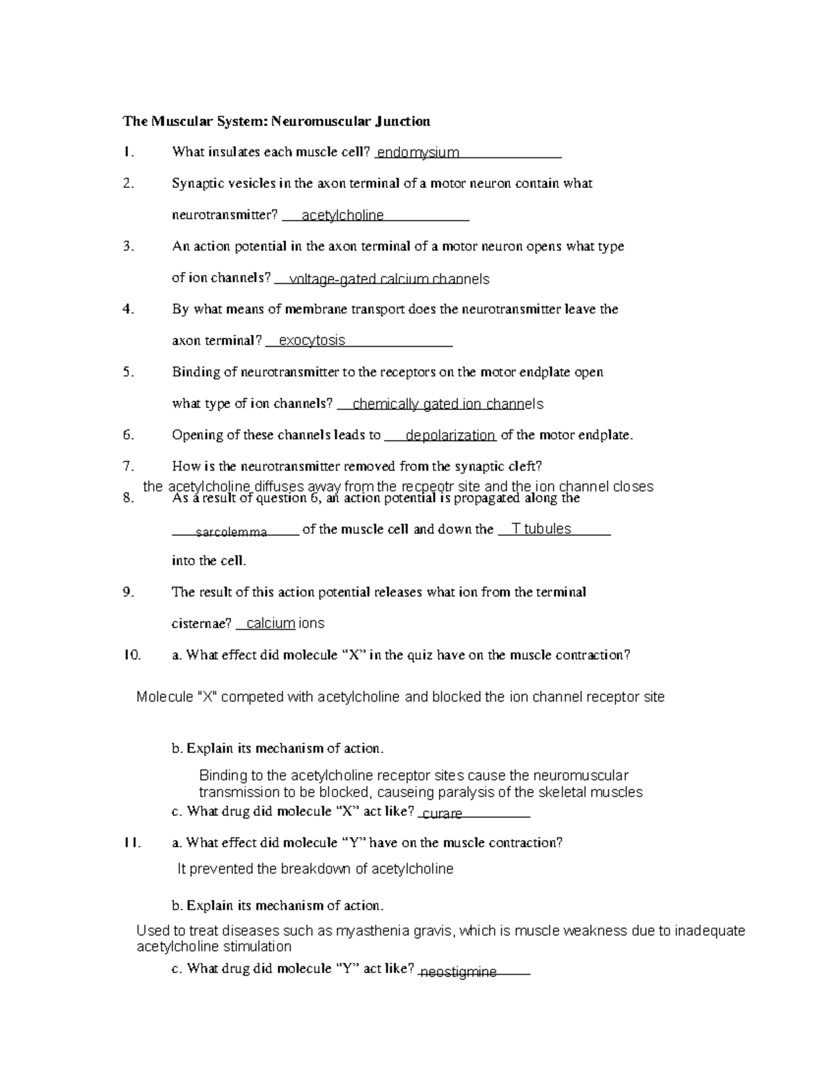 BIO 232 Neuromuscular Junction Worksheet Analysis and Insights - Studocu