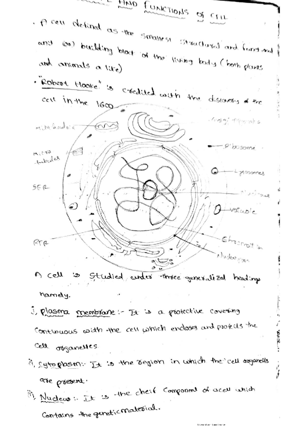 CELL FUNCTIONS: STRUCTURE & ORGANELLES OVERVIEW - Studocu