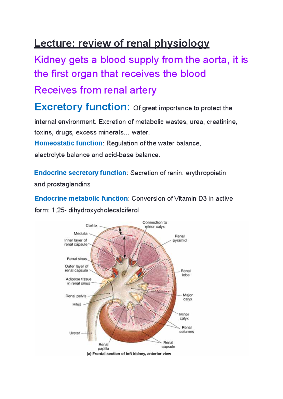 Lecture Renal physiology part 1 - Lecture: review of renal physiology ...