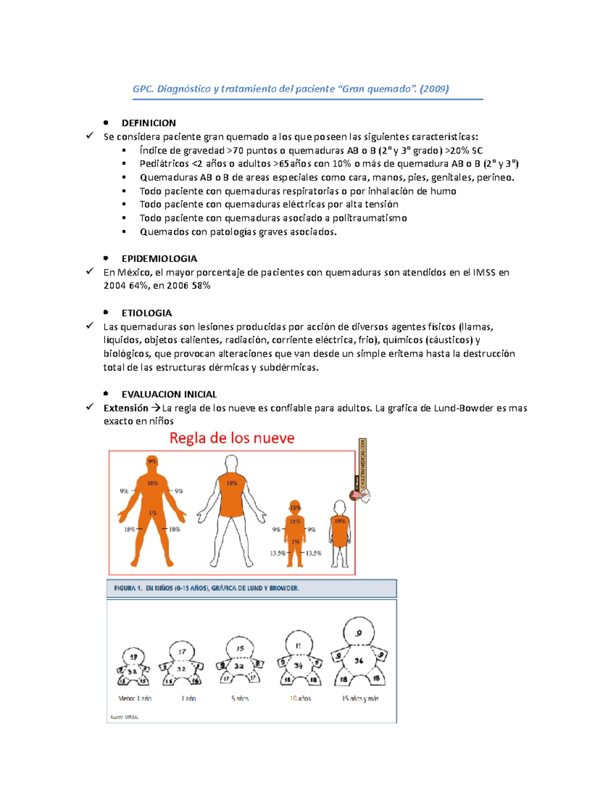 Guía Práctica Clínica (GPC) 2009: Manejo del Paciente Gran Quemado ...