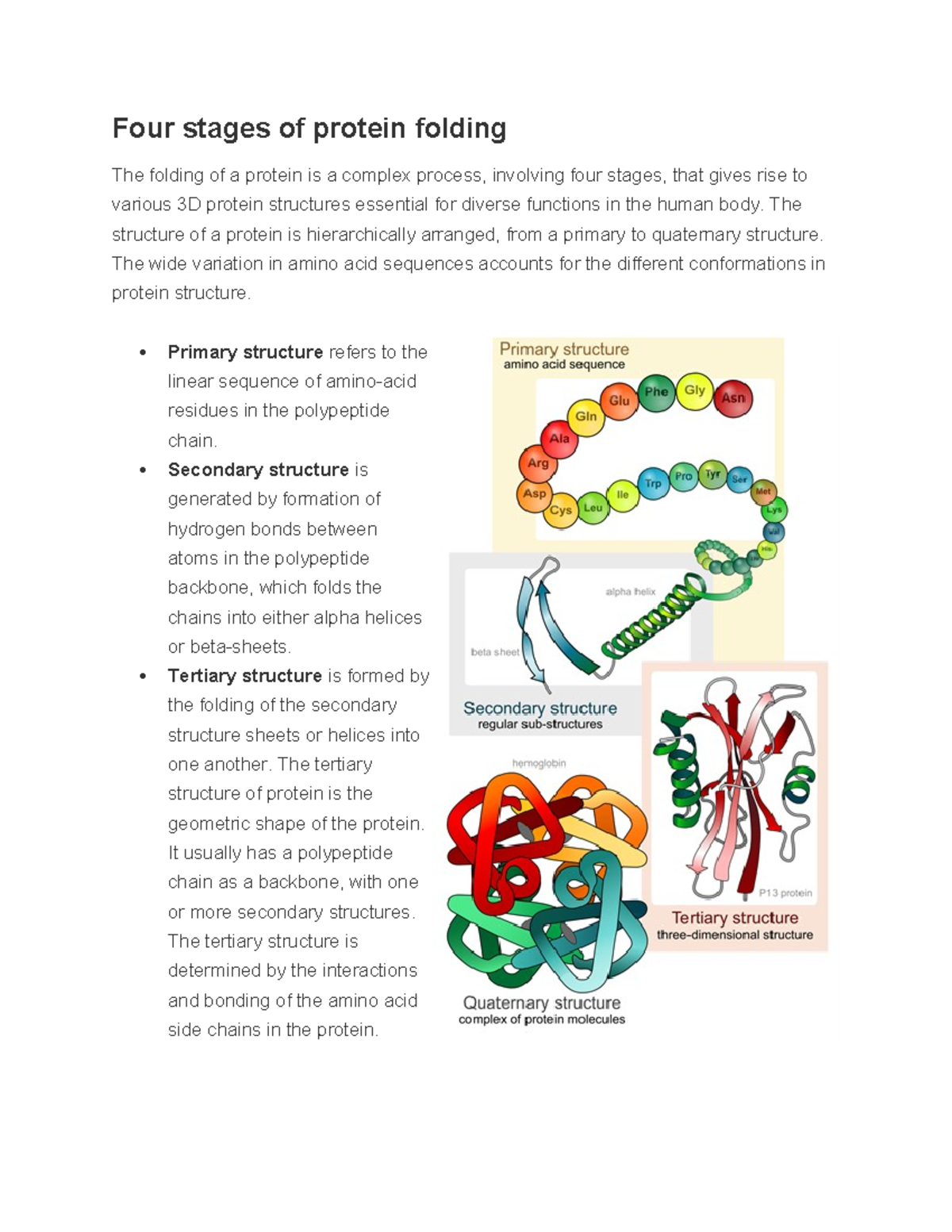 Four stages of protein folding - The structure of a protein is ...
