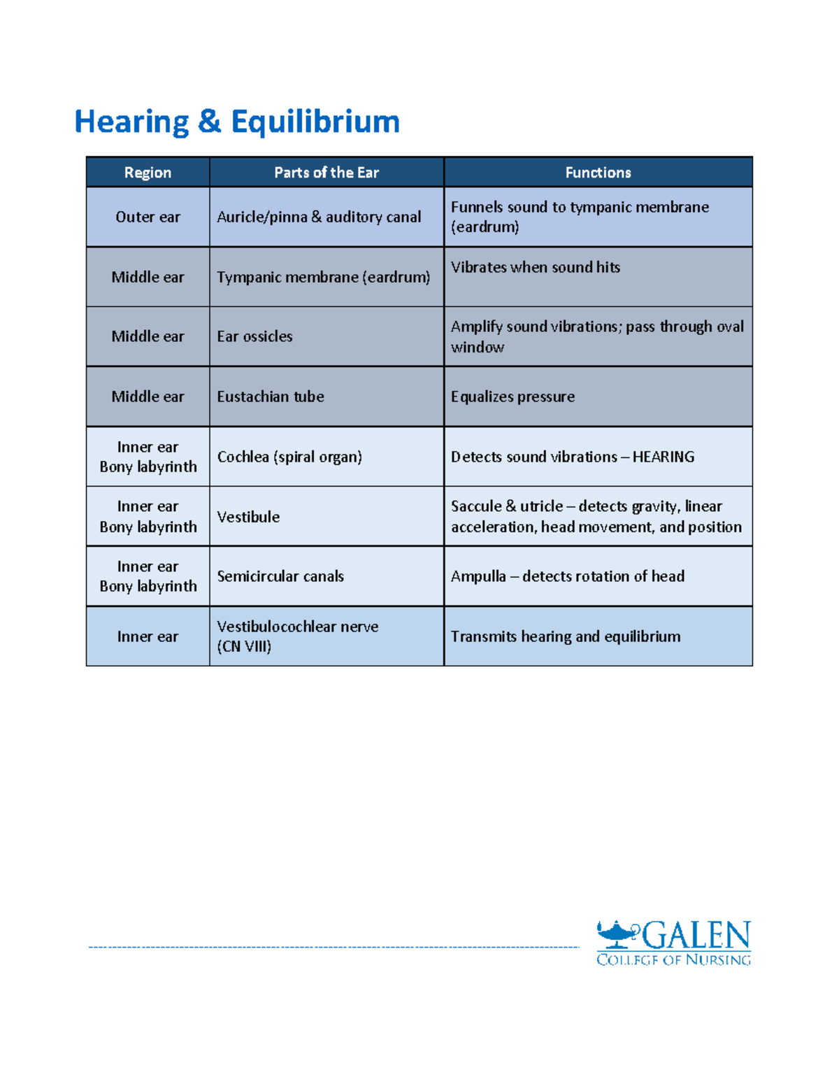 Hearing & Equilibrium Chart - Hearing & Equilibrium Region Parts of the ...