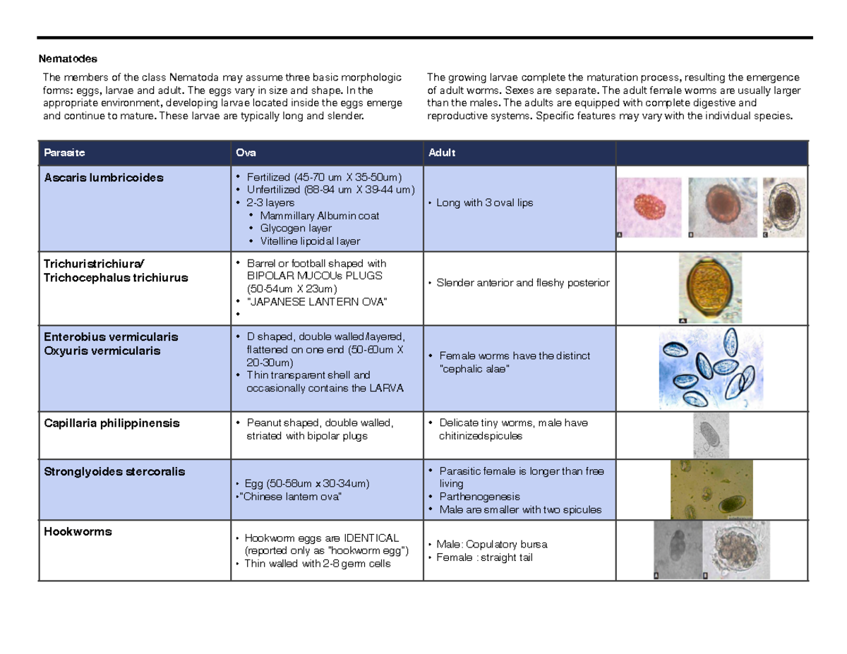 PARASITOLOGY NOTES - MEDTECH EDITION ON NEMATODES AND OVA DETAILS - Studocu