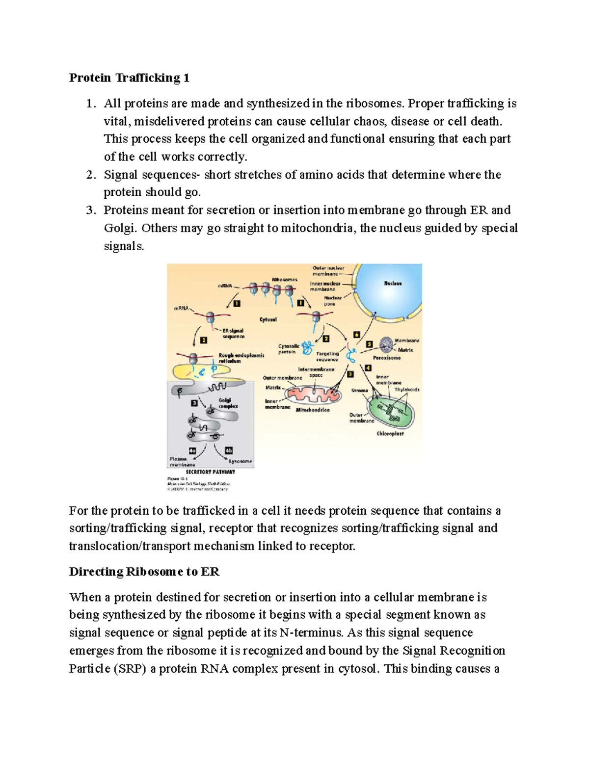 Protein Trafficking 1 Lecture Notes for Exam 3 - Studocu