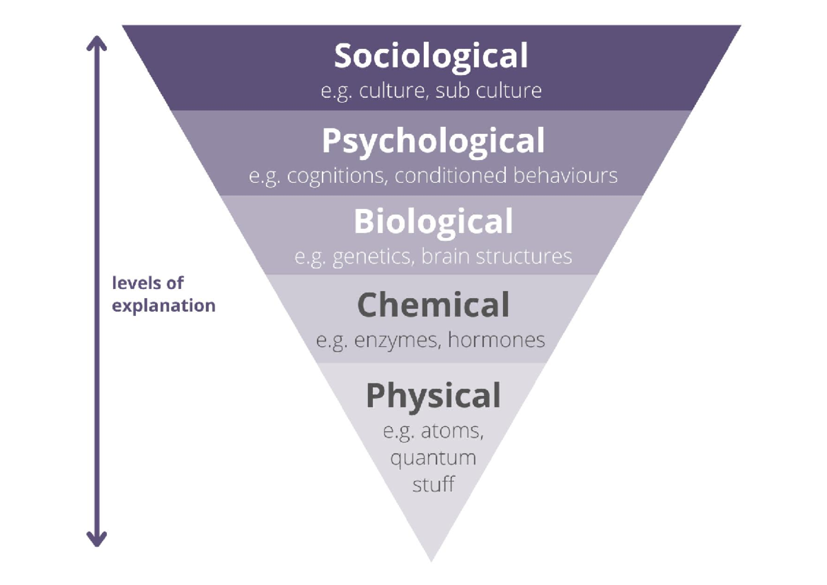 Psych levels of explanation - Sociological e. culture, sub culture ...