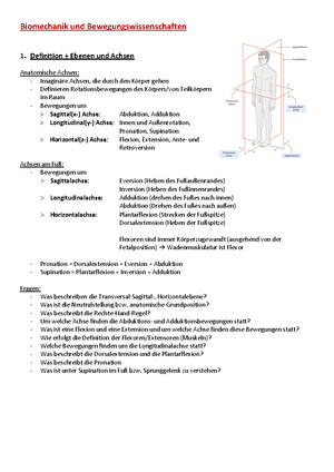 Texte Muskelspindel - Muskelspindel Bau und Funktion der Muskelspindeln ...