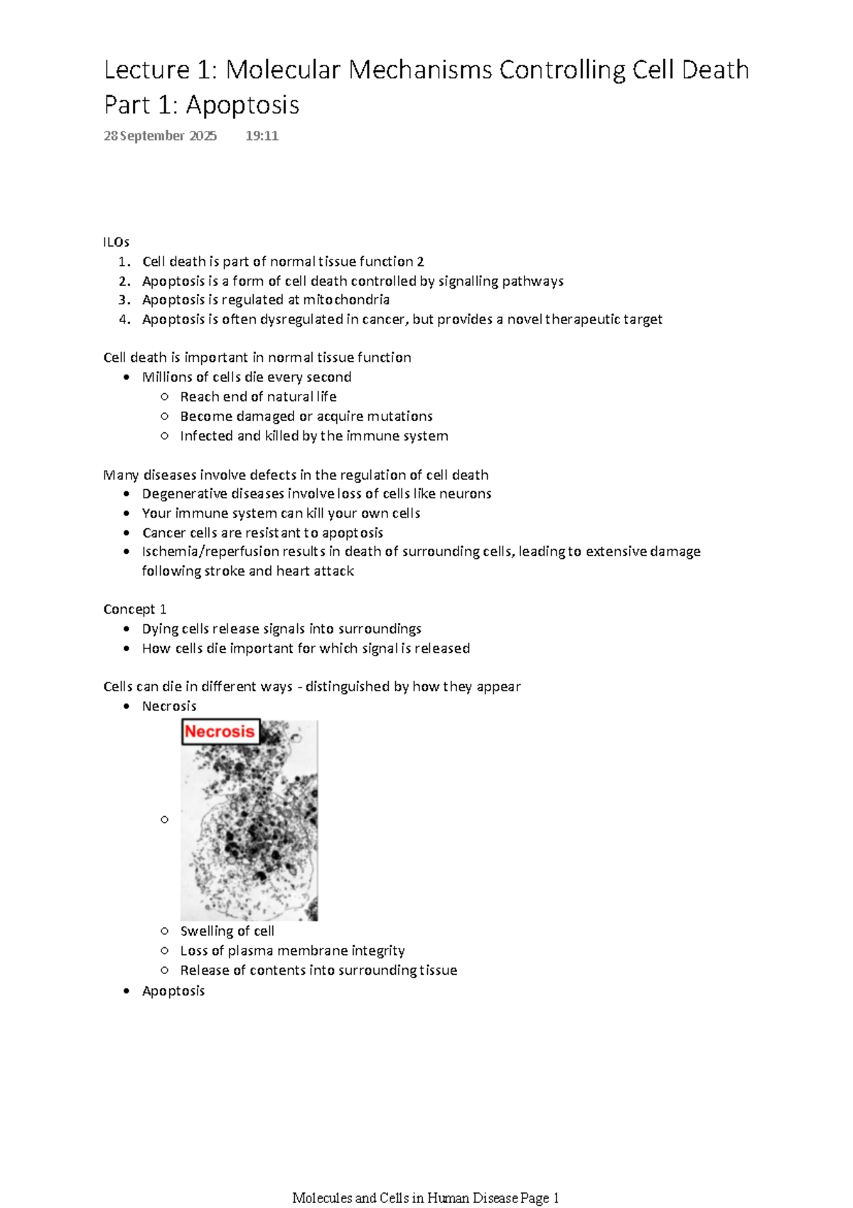 Lecture 1: Apoptosis and Cell Death Mechanisms in Human Disease - Studocu