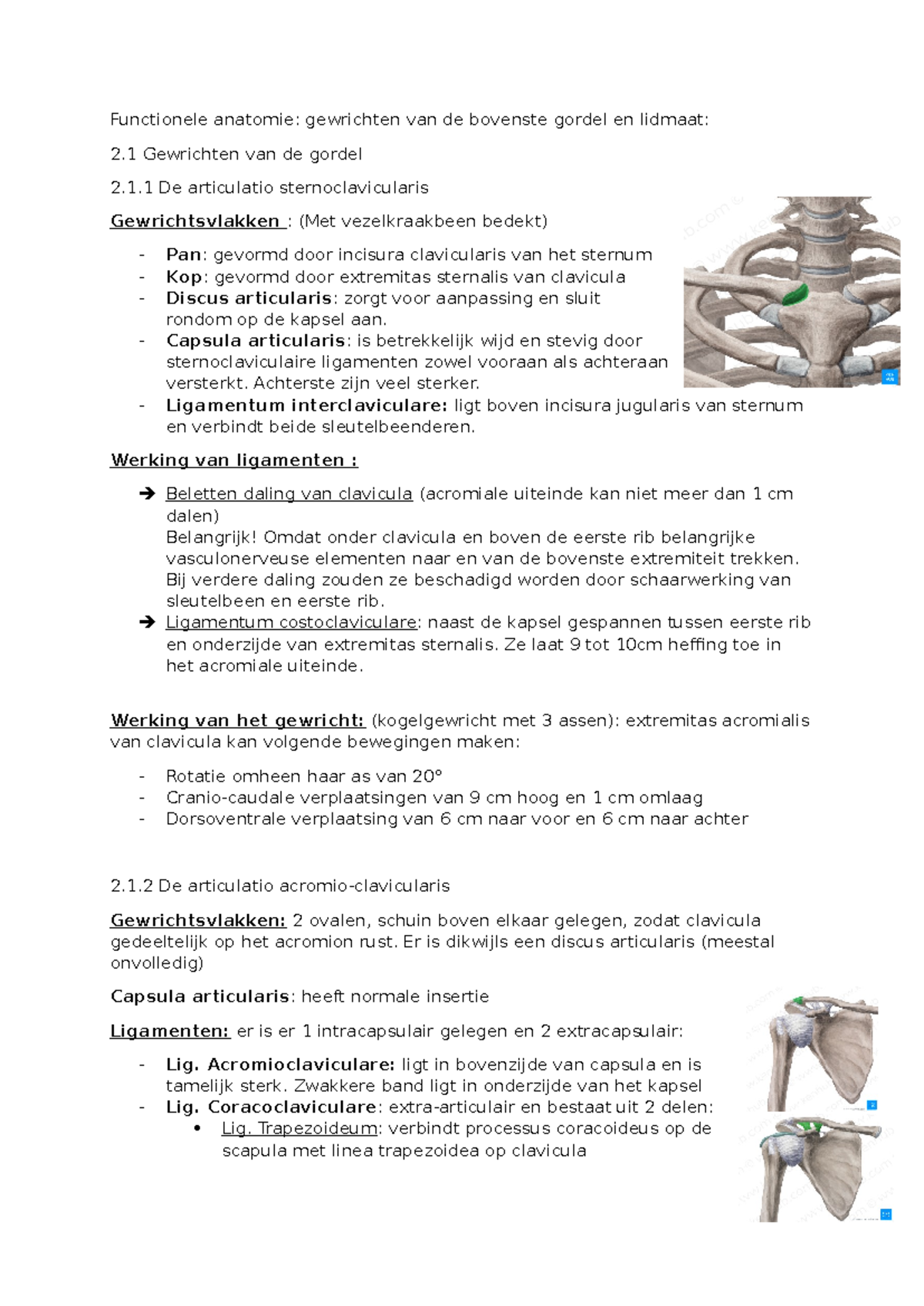Functionele Anatomie van de Gewrichten van de Bovenste Lidmaat (FAG-101 ...