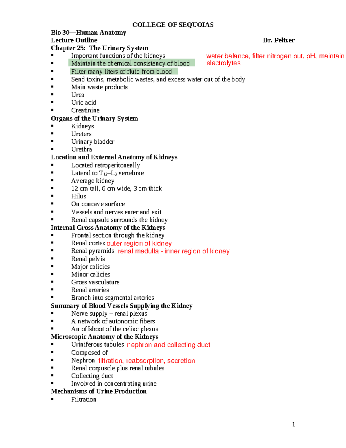 Ch. 25 Outline - The urinary system - Bio 30—Human Anatomy Lecture ...