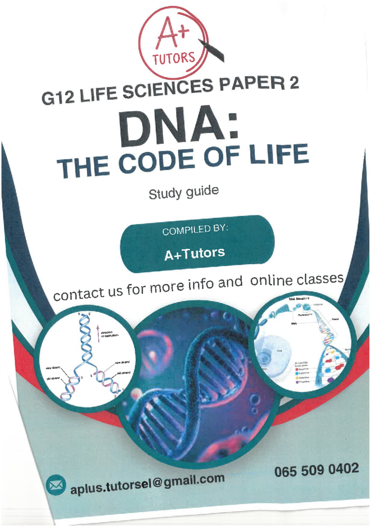 Grade 12 Life Sciences P2: DNA - The Code of Life Study Guide - Studocu