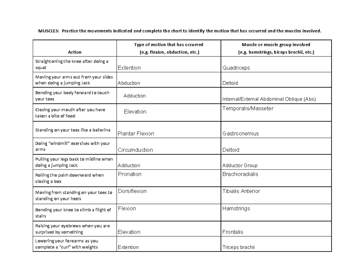 Muscle Lab report Complete - MUSCLES: Practice the movements indicated ...