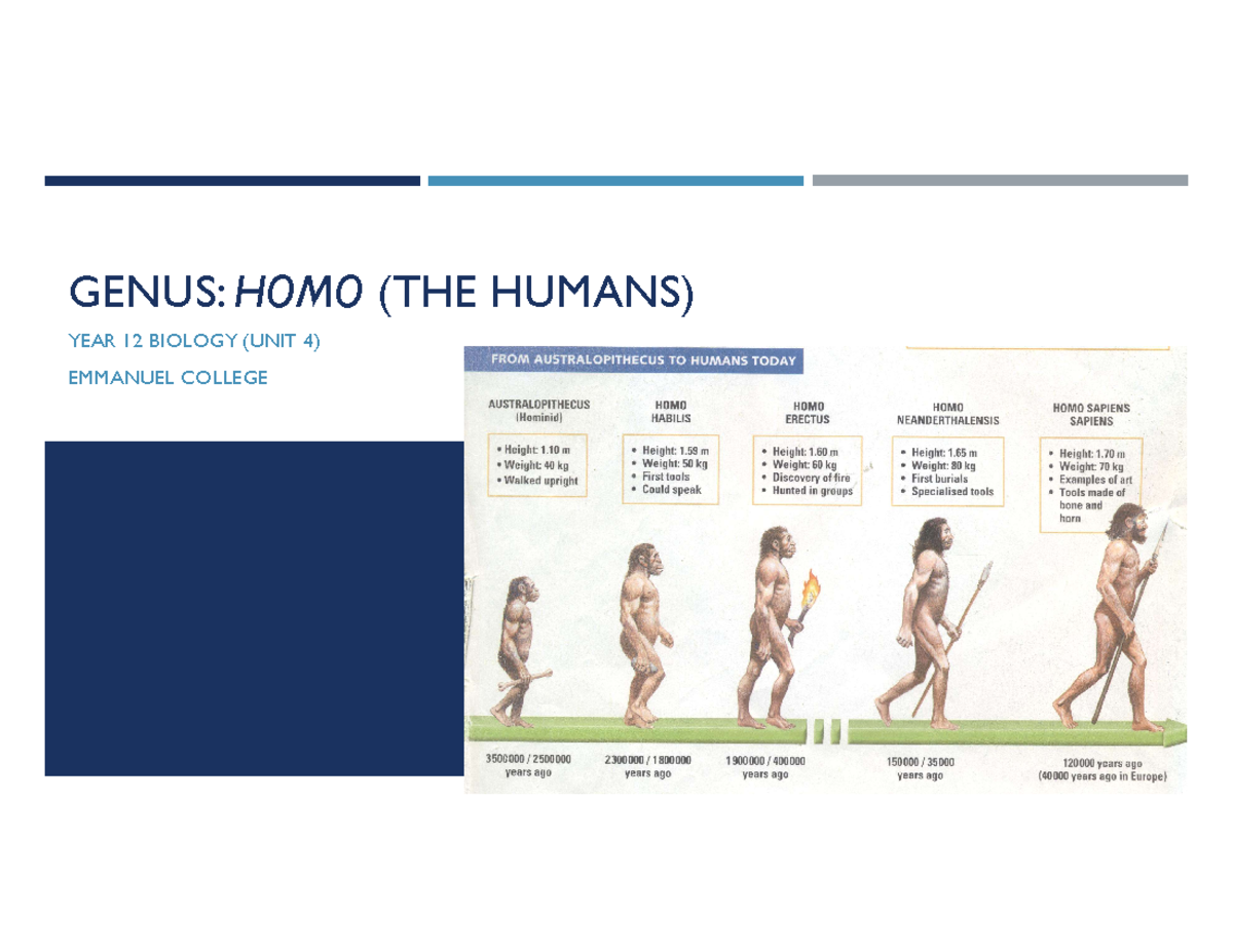 Homo Genus Evolution: Year 12 Biology Unit 4 Insights - Studocu