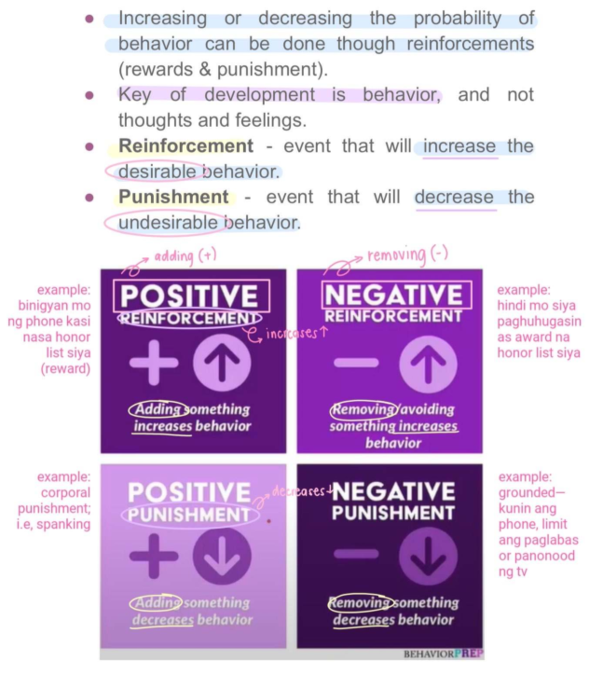 Skinner’s Operant Conditioning - Advanced Personality Psychology ...