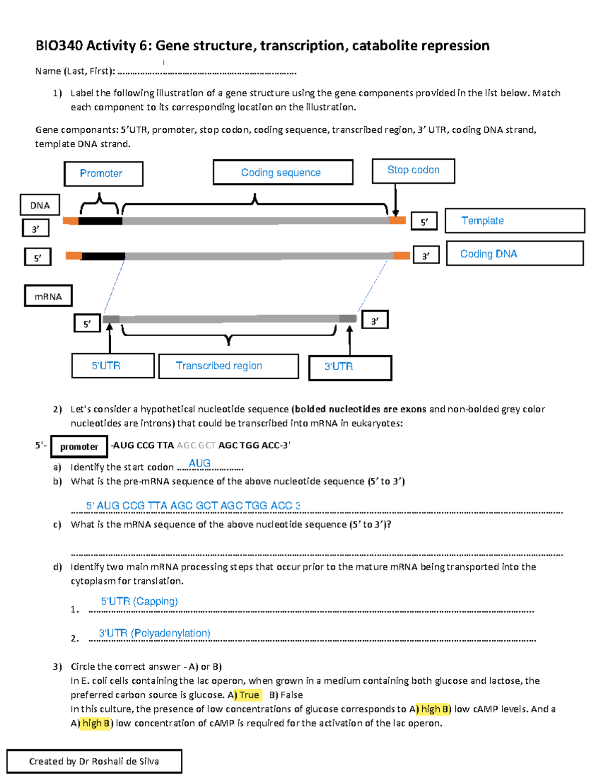 BIO340 Activity 6: Gene Structure & Transcription Analysis - Studocu