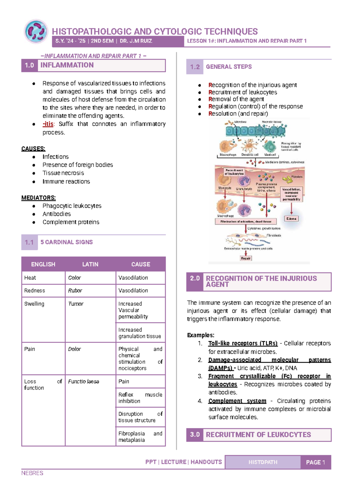 HISTOPATHOLOGIC TECHNIQUES S.Y. 2ND SEM DR. J.M RUIZ LESSON ON ...