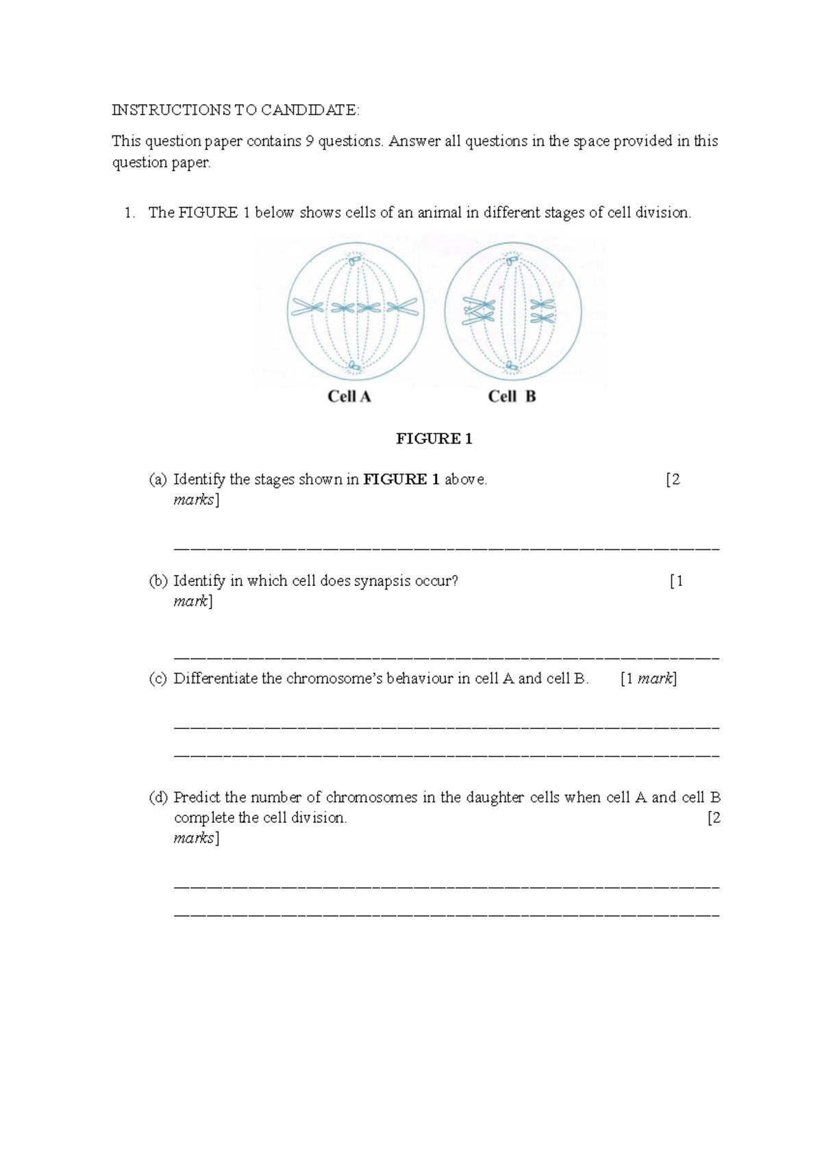DB014 Final Exam Questions Set 1 - Cell Division & Genetics - Studocu