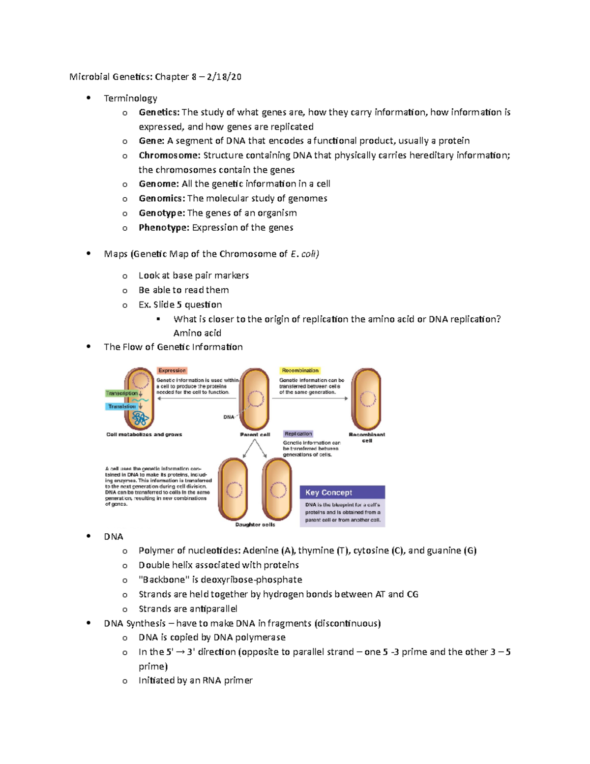 Chapter 8 - Microbial Genetics: Key Concepts and Terminology - Studocu