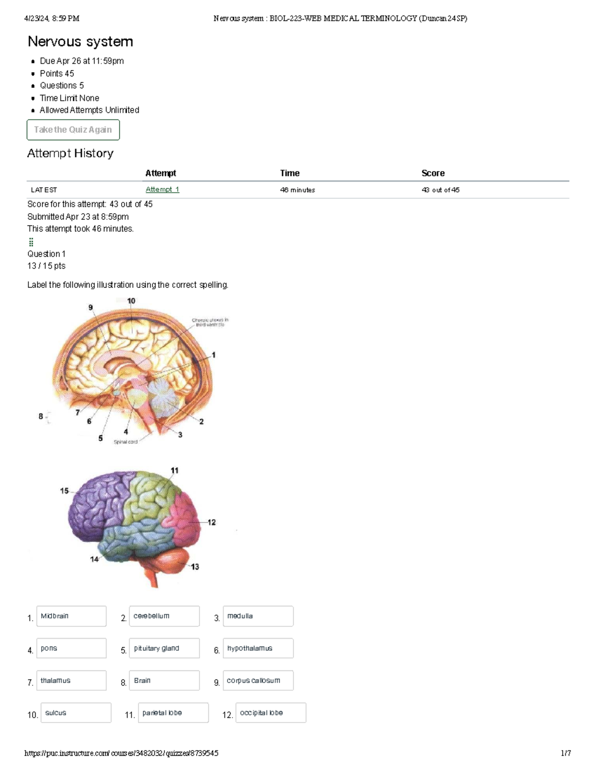 Nervous System Quiz Review: MEDICAL TERMINOLOGY (Duncan 24SP) - Studocu