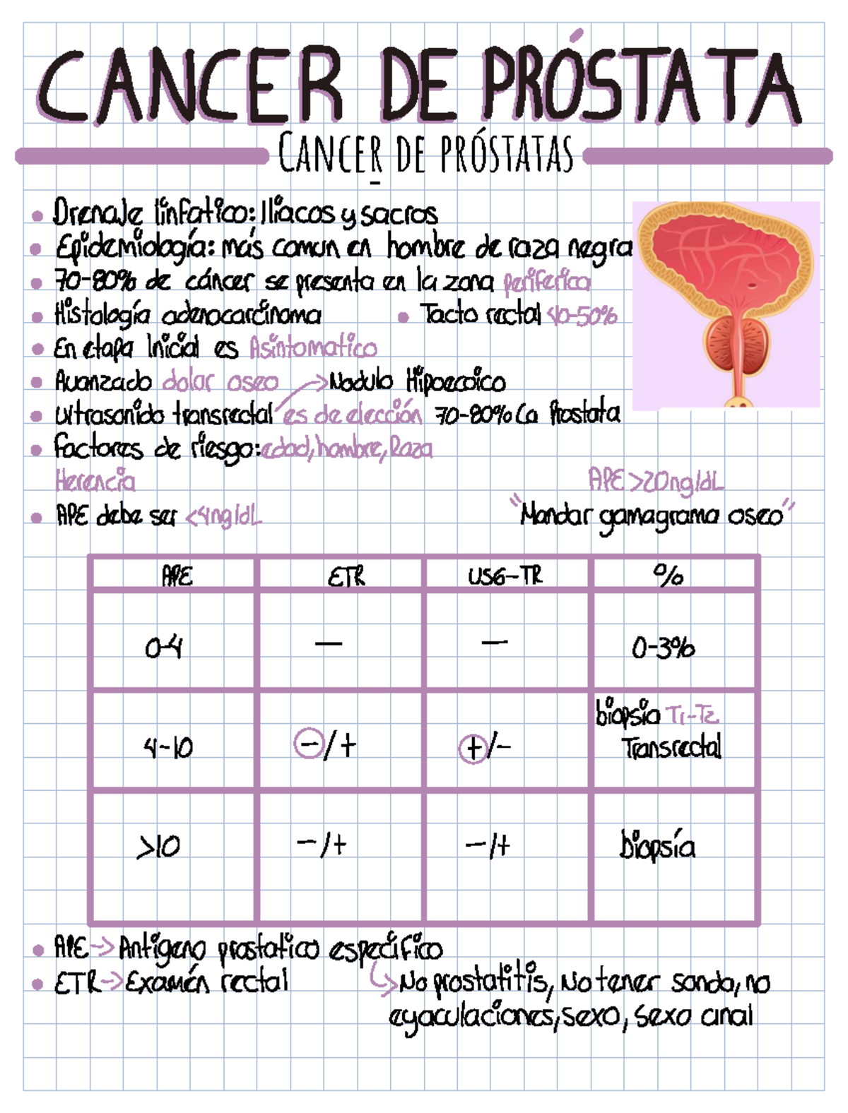 Ca próstata-1 - Resumen - CANCER DE PROSTA TA CANCER DE PRÓSTATAS ...