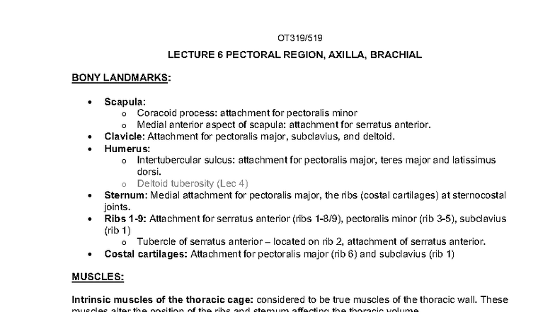 LECTURE 6: PECTORAL REGION, AXILLA, AND BRACHIAL LANDMARKS - Studocu
