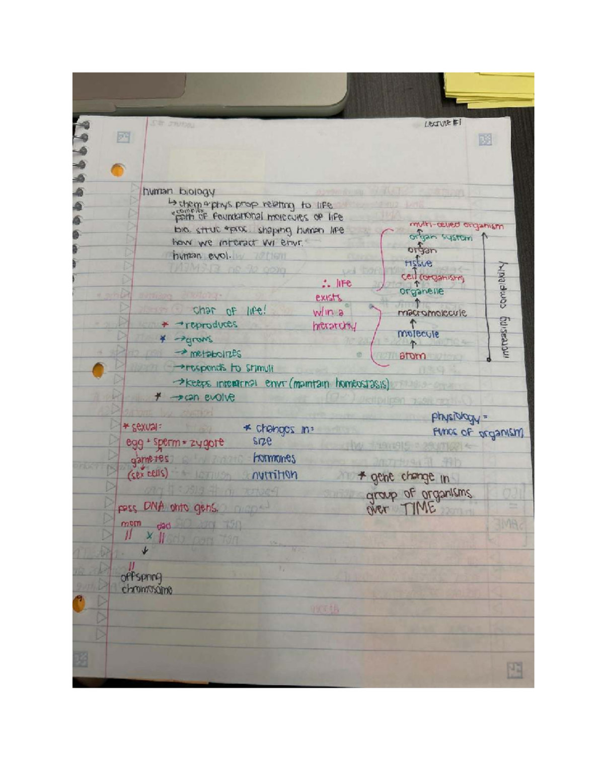 Lecture Notes on Human Biology and Chemistry: Foundations of Life (BIO ...