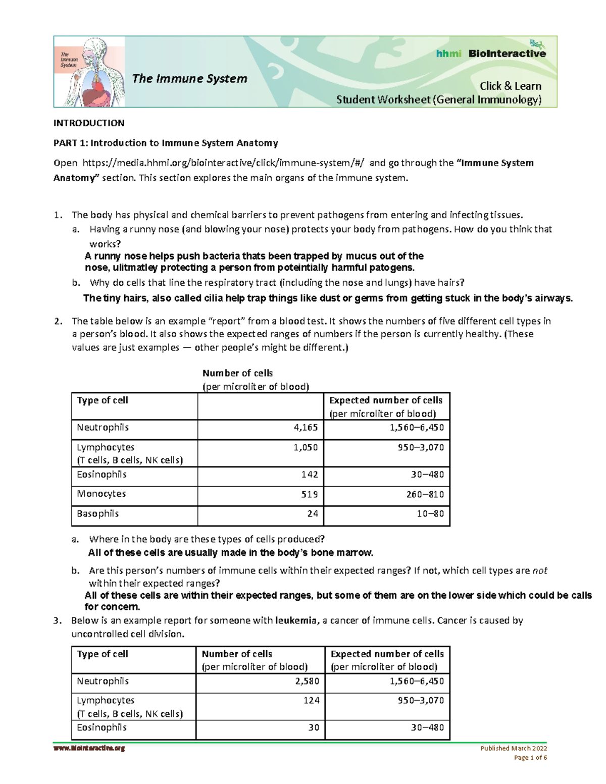 BIOL 104 Lab 6: Immune System Overview and Worksheet Answers - Studocu