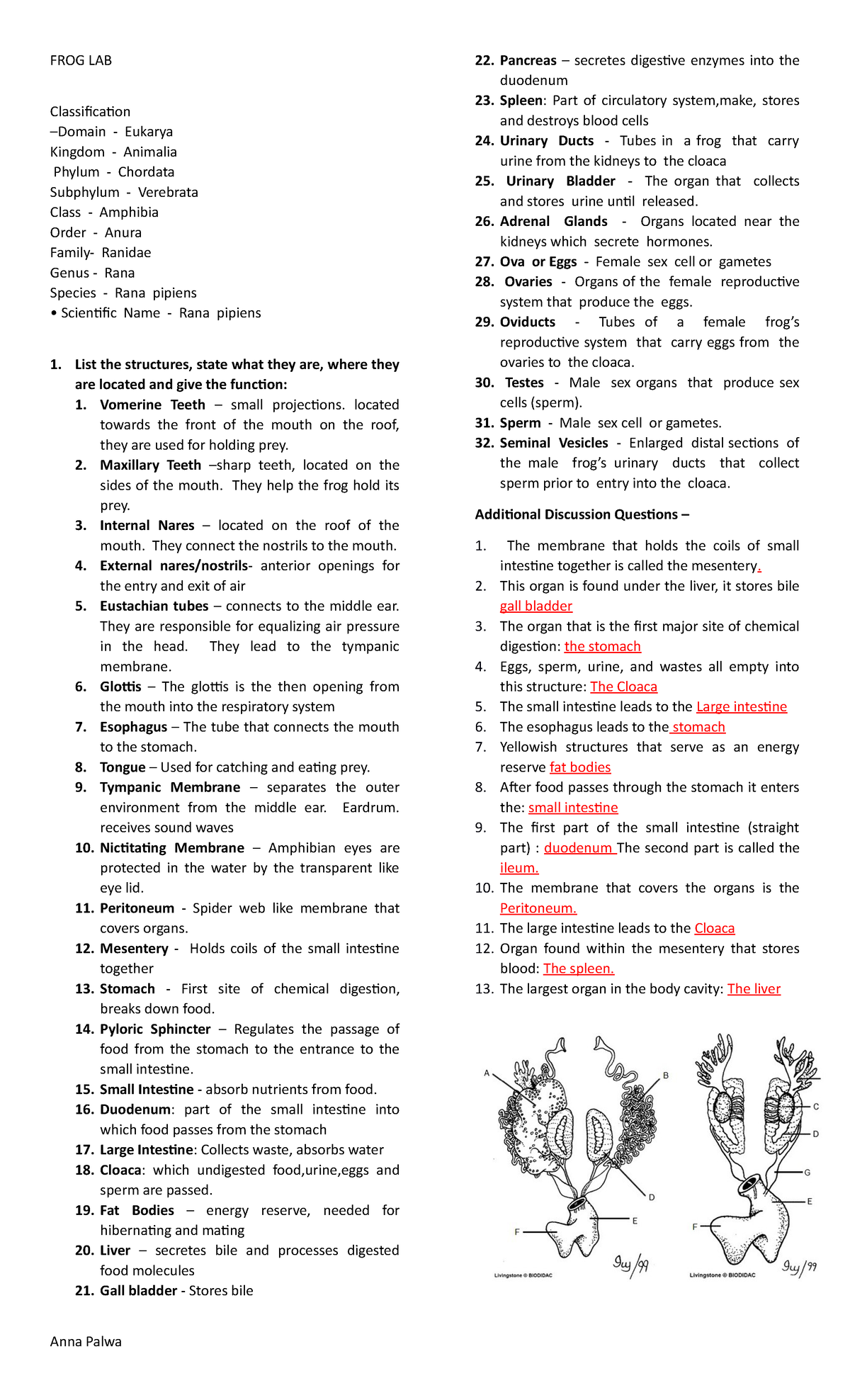 Frog - Parts and functions - FROG LAB Classification –Domain - Eukarya ...