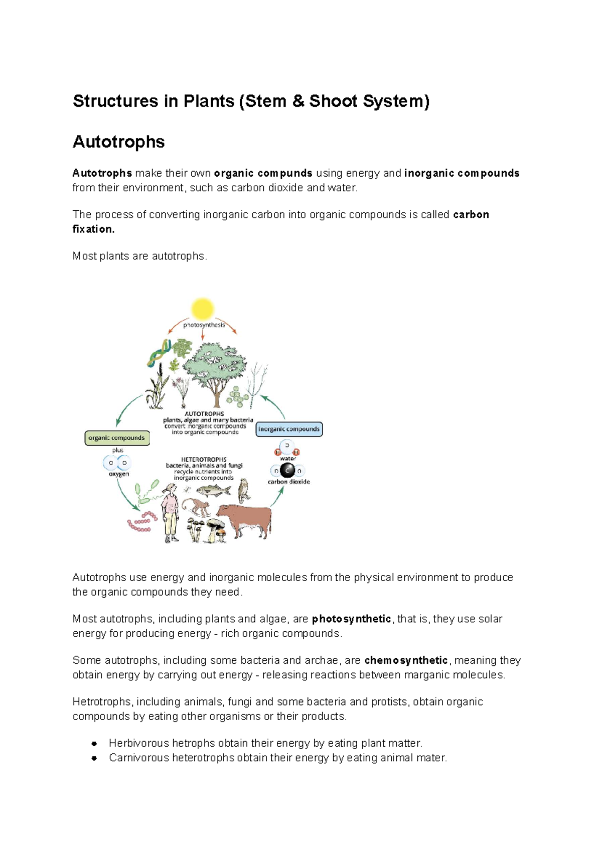 Structures in Plants (Stem & Shoot System) - Autotrophs ...