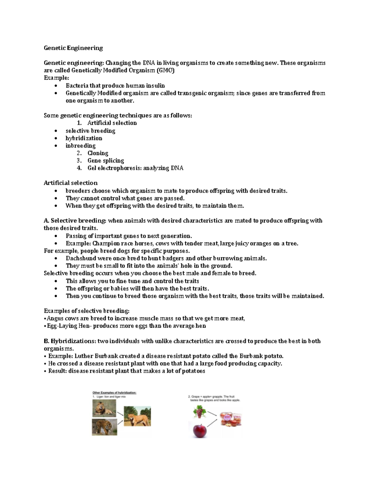 Genetic Engineering Techniques: Understanding GMOs and Applications ...