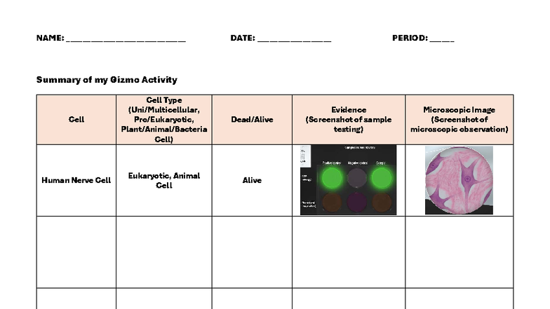 Annotated CELL%20 Types%20INFO 1 1 - NAME ...